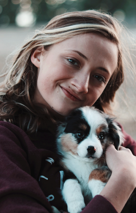 Mission Statement | Animal Welfare | National Animal Interest Alliance